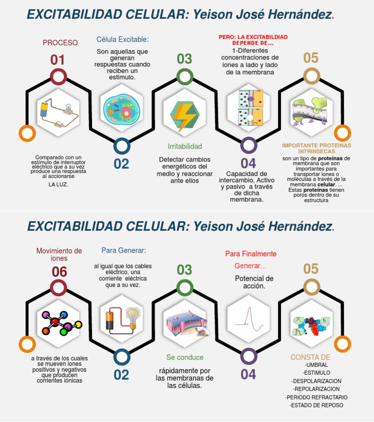 Excitabilidad Celular - Poster Digital | PDF | Potencial de membrana ...