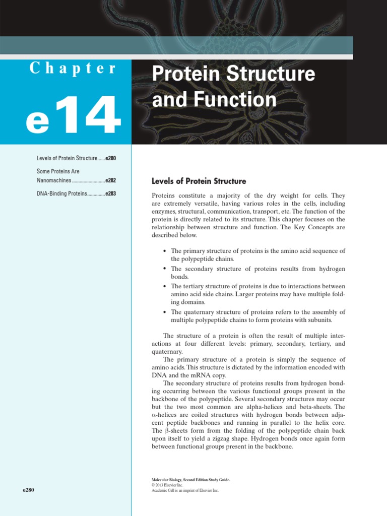 Protein Structure and Function | PDF | Cofactor (Biochemistry) | Enzyme
