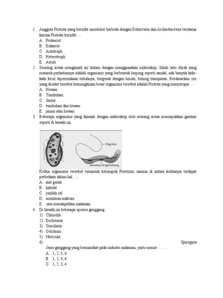 Protista Soal PAS | PDF