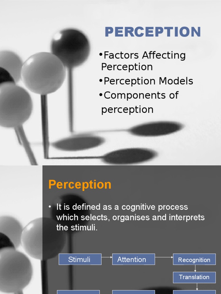 Perception: - Factors Affecting Perception - Perception Models - Components of Perception | PDF ...