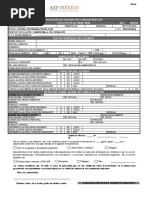 FORMATO INS - 10 Nuevo | PDF