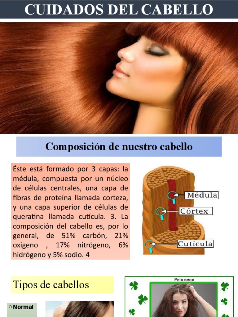 Cuidados Del Cabello | PDF