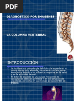 Signo del Perrito Escocés en Radiología | PDF | Vértebra | Medicina