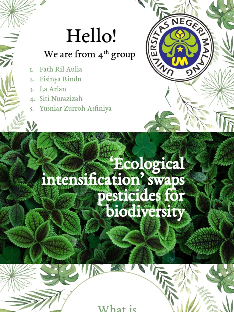 Ecological Intensification | PDF | Tillage | Agriculture