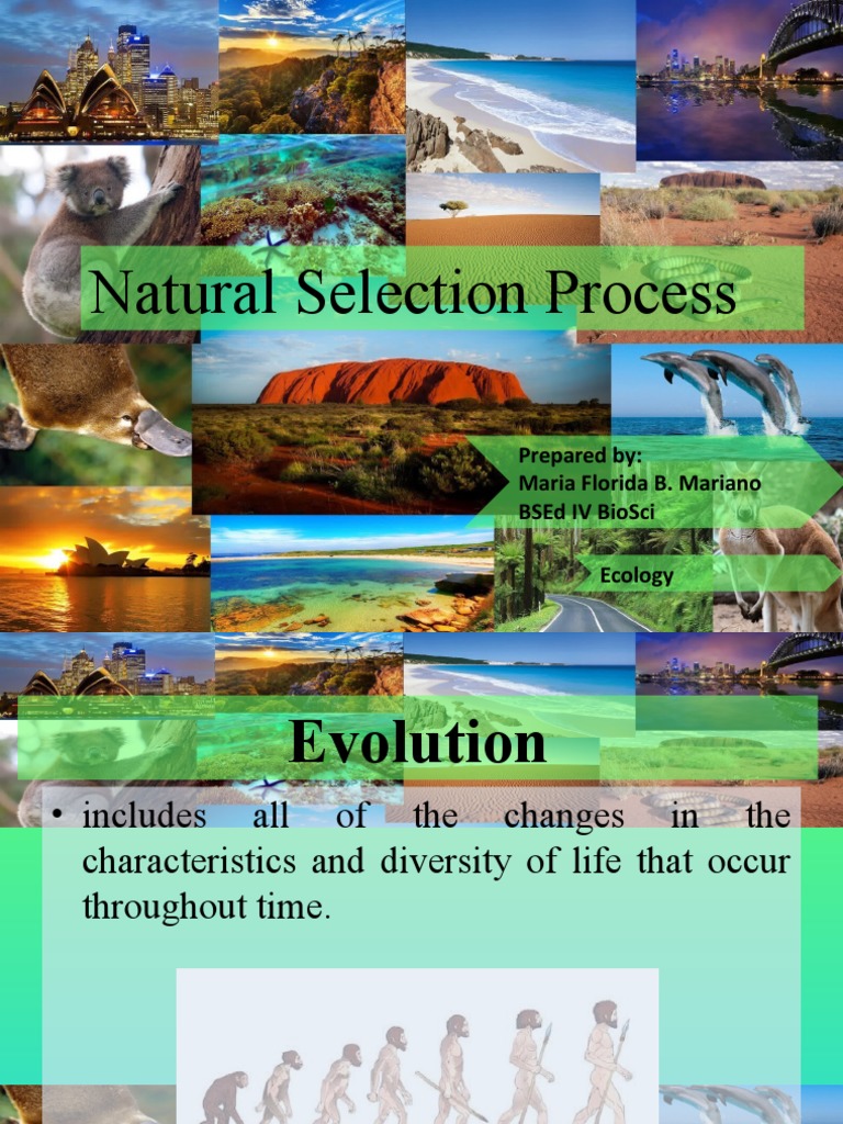 The Mechanics of Natural Selection: How Environmental Pressures Drive ...
