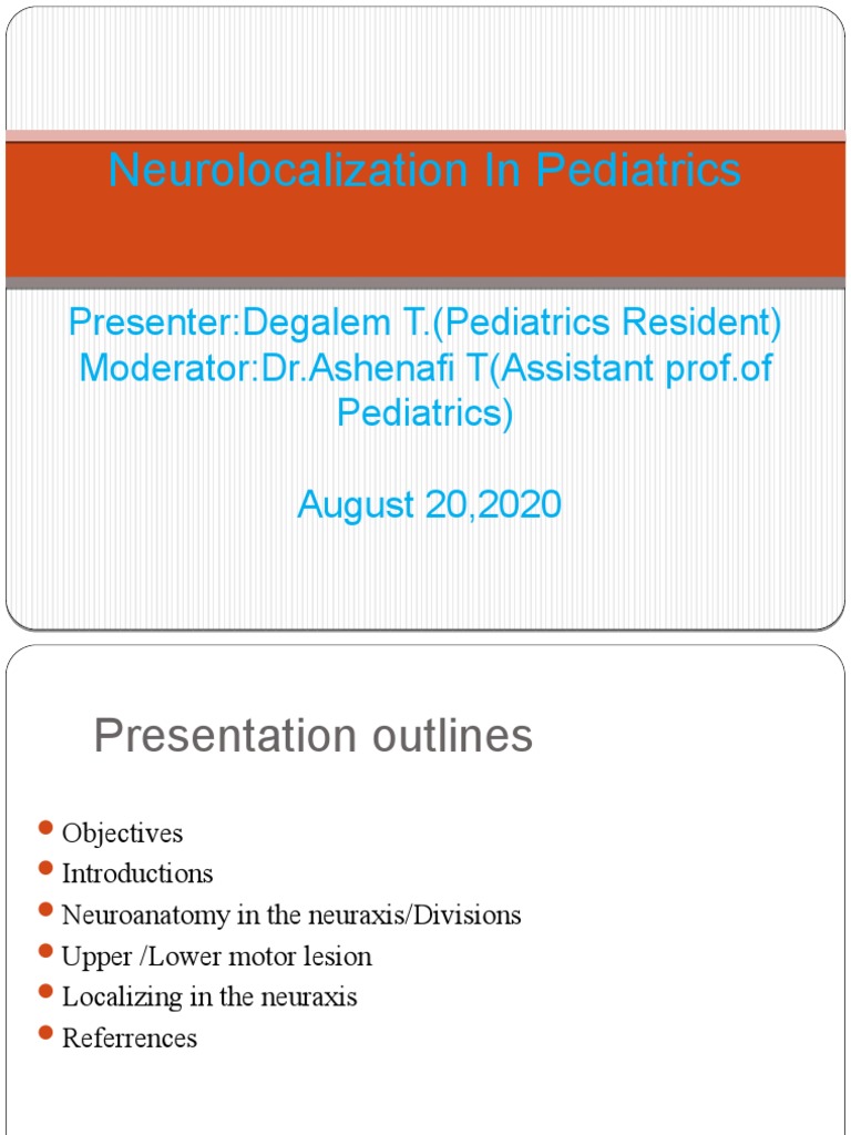 Neurolocalization in Pediatrics | PDF | Cerebral Cortex | Spinal Cord