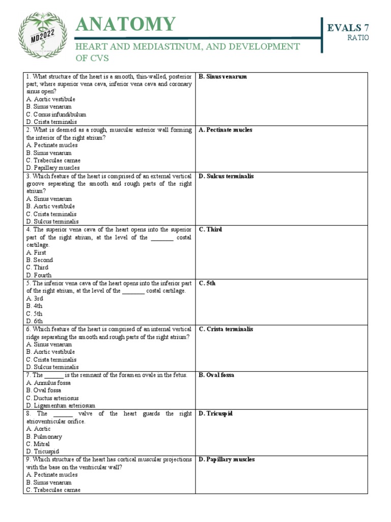 Anatomy Ratio 7 | PDF | Coronary Circulation | Aorta