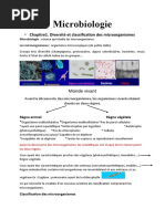 Sporulation et structure des spores bactériennes | PDF | Spore | Biologie