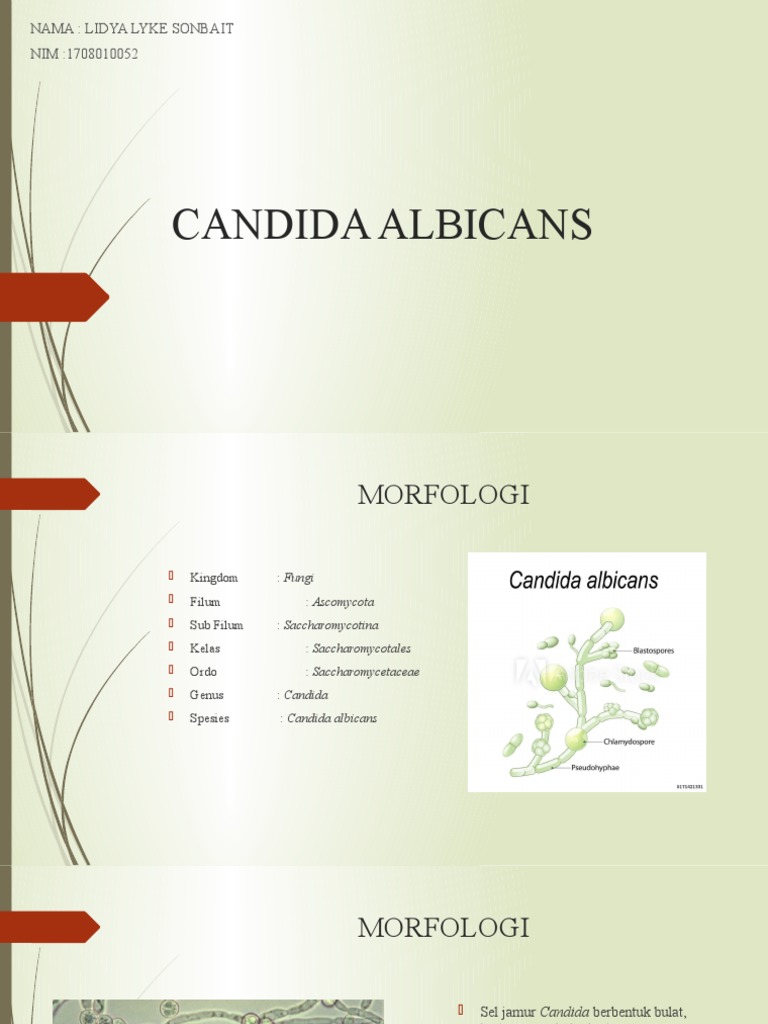 Candida Albicans | PDF