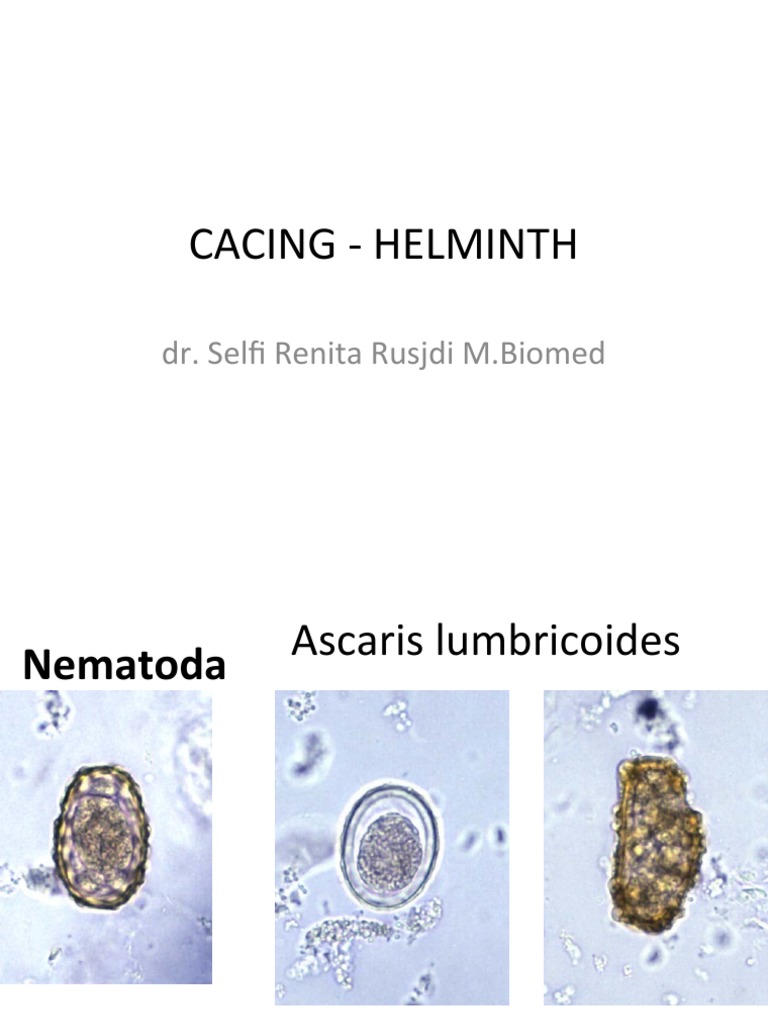 Helminth - Picture | PDF