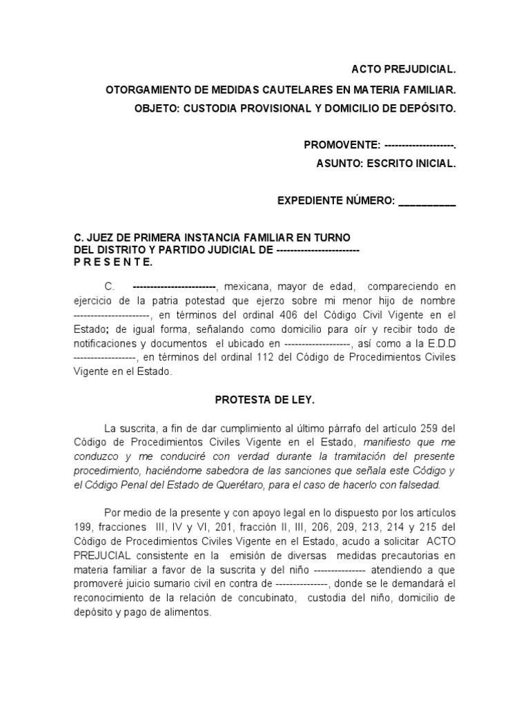 Ejemplo Acto Prejudicial Medida Cautelar | PDF | La violencia contra ...