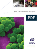 Bacteriological Analytical Manual (BAM) - FDA | PDF | Polymerase Chain ...