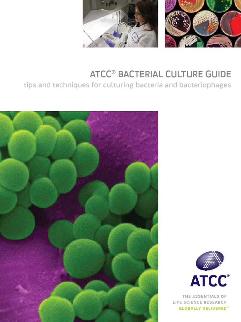 Atcc Bacterial Culture Guide: Tips and Techniques For Culturing ...