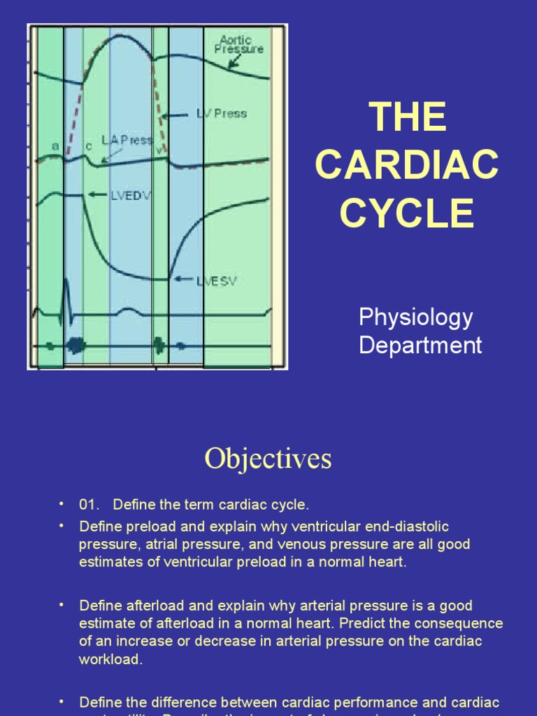 THE Cardiac Cycle: Physiology Department | PDF | Heart Valve | Diastole