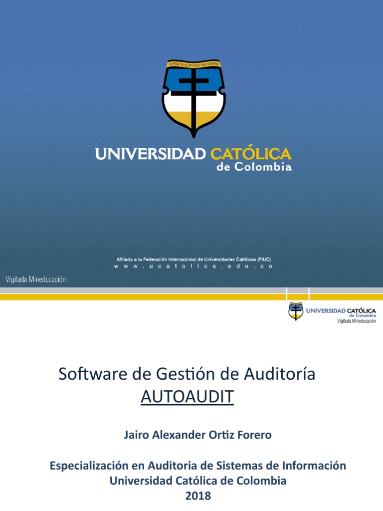 AUTOAUDIT | PDF | Usuario (informática) | Auditoría