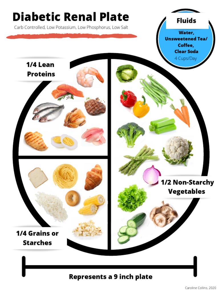 DM Renal Plate-3 | PDF | Carbohydrates | Meal