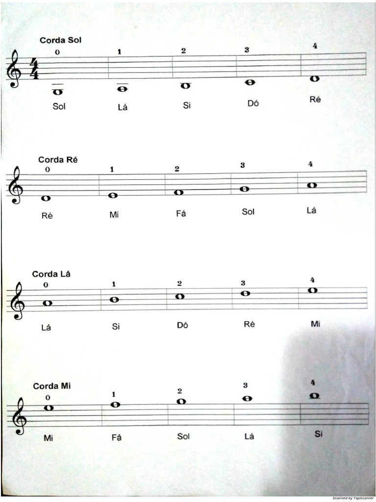 Consulta Notas Musicais | PDF