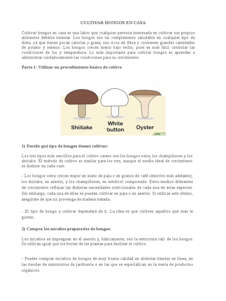 Cultivar Hongos en Casa | PDF | Hongo | Esterilización (Microbiología)