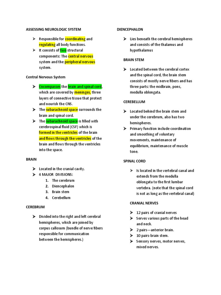 Neurologic System Assessment Guide | PDF | Brainstem | Central Nervous ...
