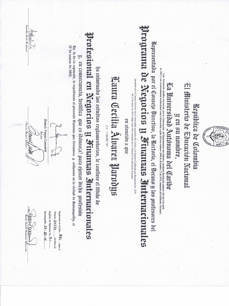 Diploma Profesional | PDF