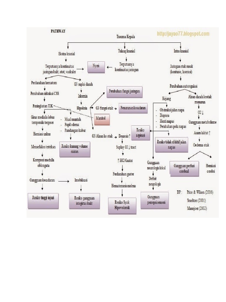 Pathway CKB | PDF