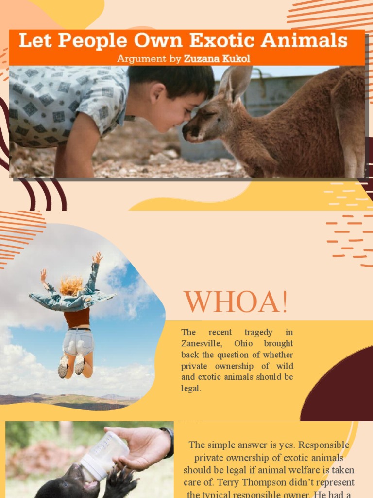 Let People Own Exotic Animals | PDF | Pet | Animals And Humans