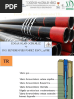 Tipos de Riser | PDF | Tubería (transporte de fluidos) | Submarinos