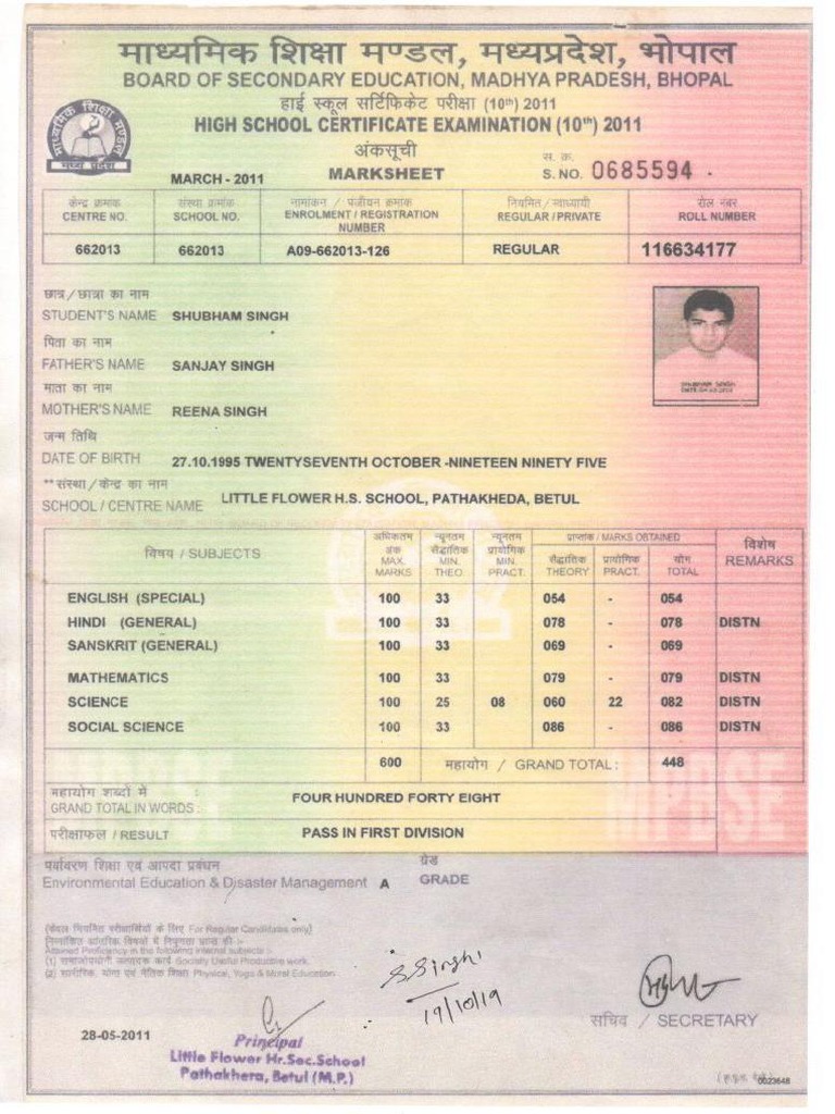 10 TH Marksheet Scan PDF | PDF
