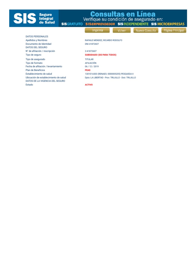 Ficha SIS | PDF | Business