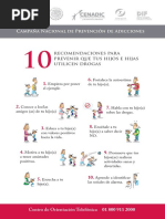 La historia de Stelaluna y su amistad | PDF | Murciélago | Aves