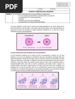 Micro, Matro y Macroambiente PDF | PDF | El embarazo | Embarazo Mamífero