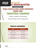 Copy of Official Fisch Value List | PDF