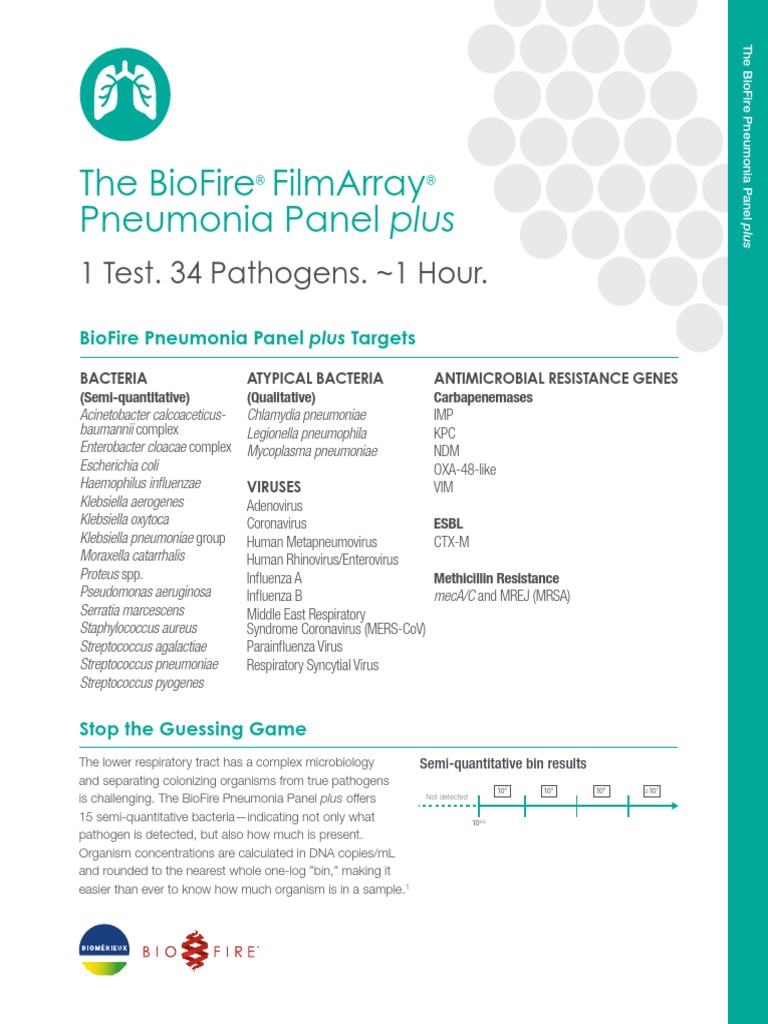 Pneumonia Plus Info Sheet EN-INT | PDF | Beta Lactamase | Pneumonia