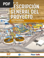 Proyecto SGO Minera Spence | PDF | Minería | Cobre