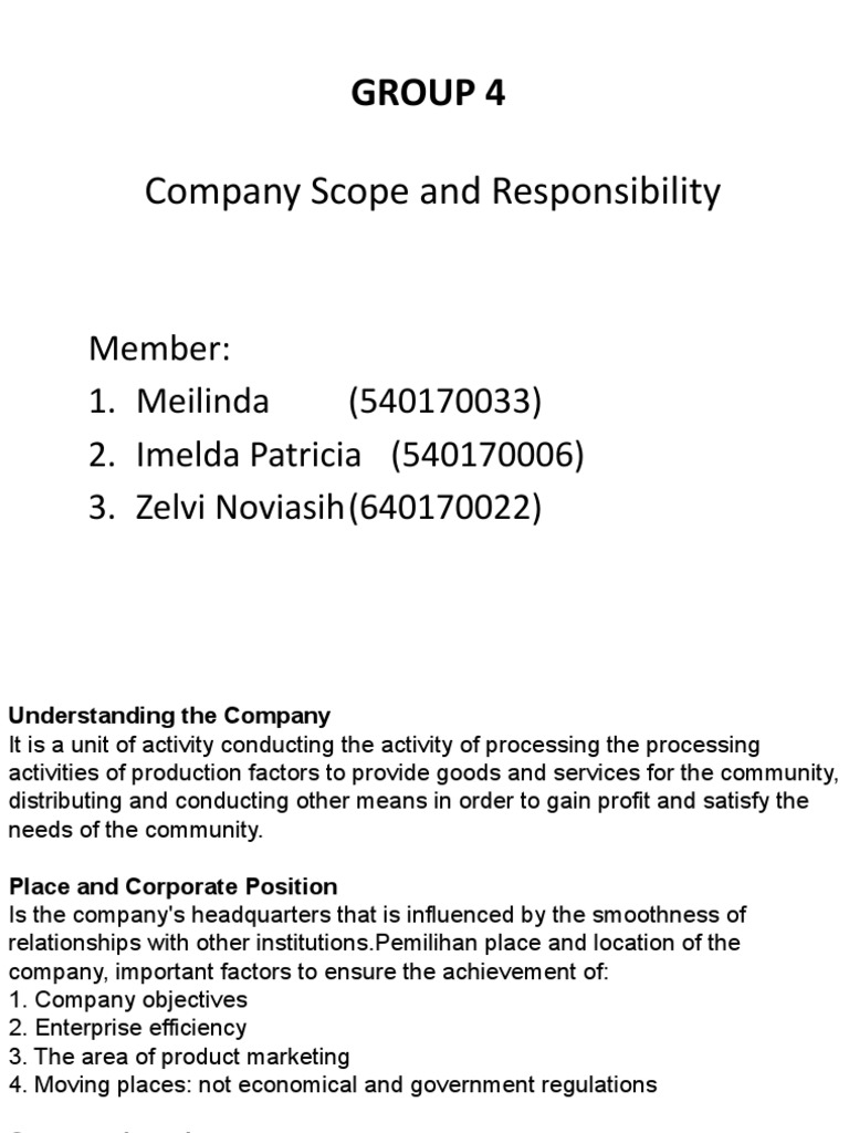 Company Scope and Responsibility: Group 4 | Download Free PDF ...