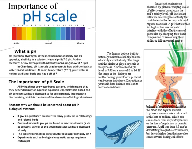 PH Scale Brochure | PDF | Ph | Alkalinity