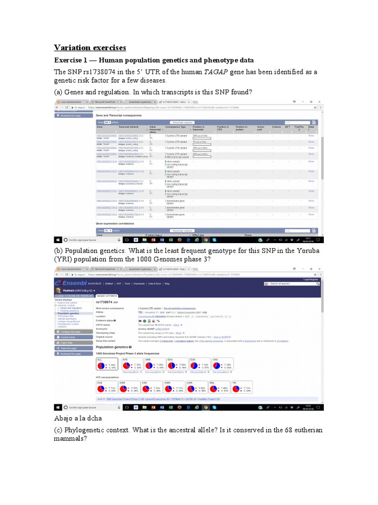 Variation Exercises: Exercise 1 - Human Population Genetics and ...