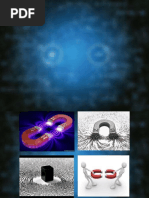 Magnetism Assessment - Google Forms | PDF | Magnetism | Magnet