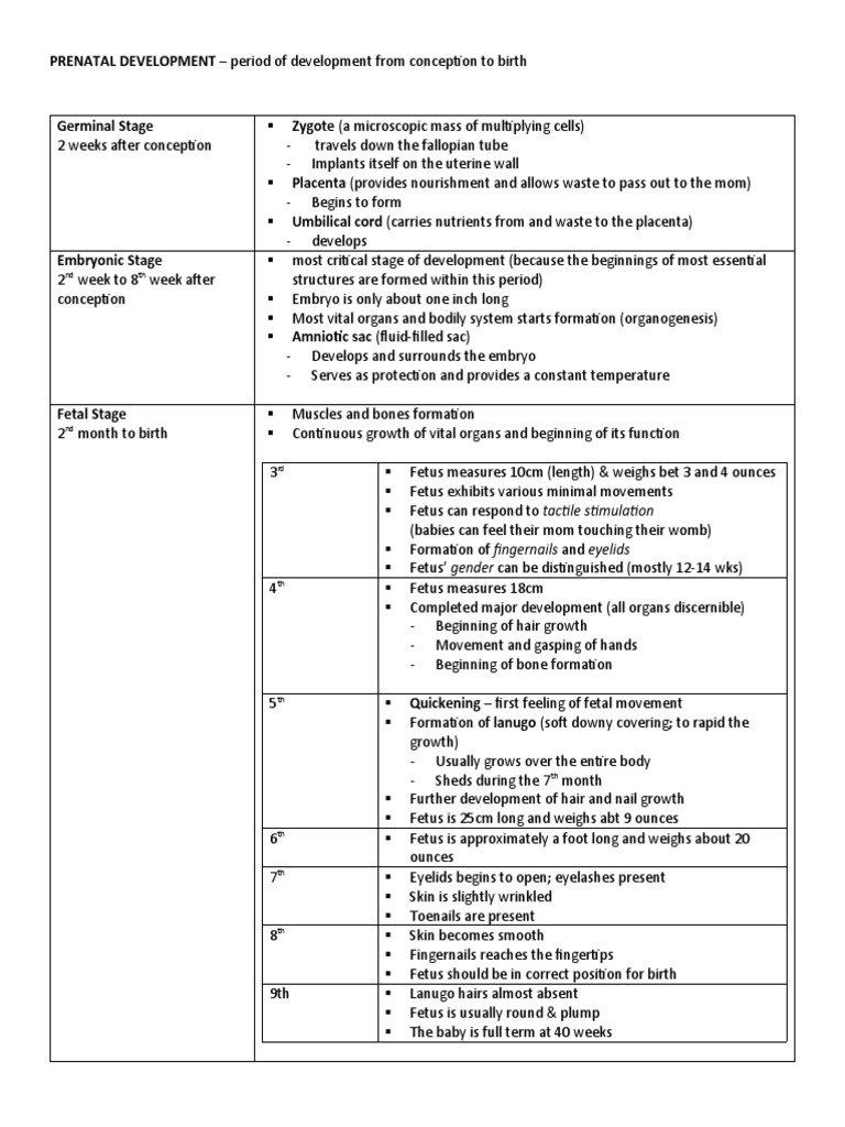 Prenatal Development | PDF | Fetus | Embryo