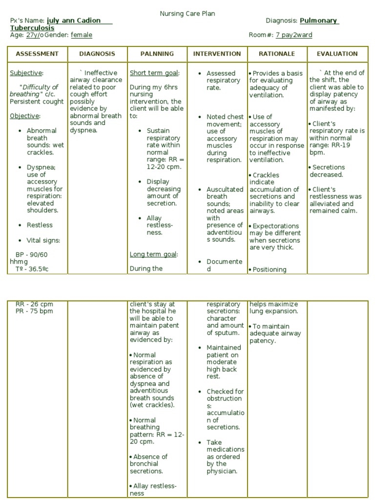 13852420-Nursing-Care-Plan-Pulmonary-Tuberculosis | Respiratory Tract ...
