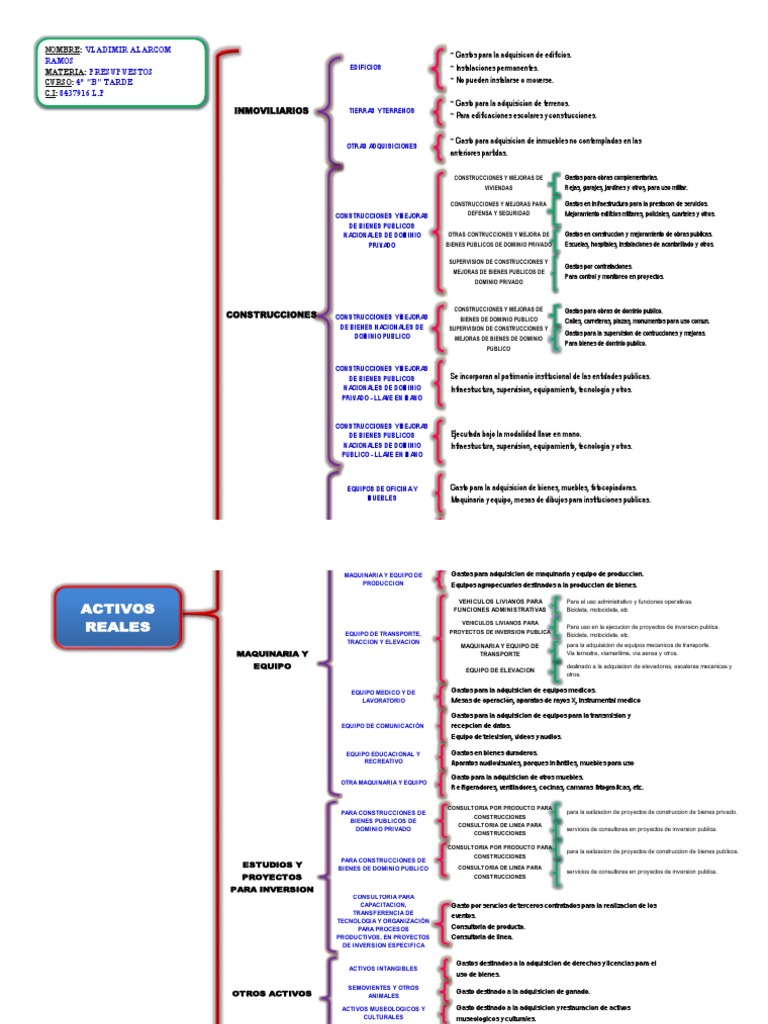 Esquema de Activos Reales | PDF | Economias | Business