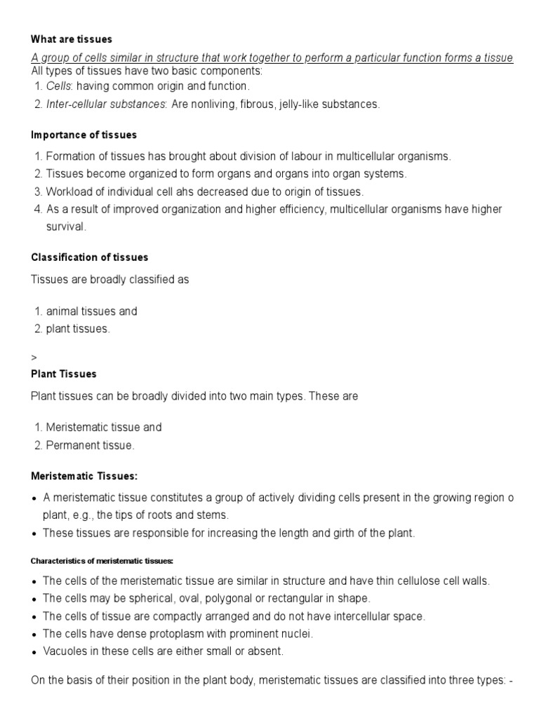 Class 9 Tissue Notes Overview | PDF | Epithelium | Tissue (Biology)