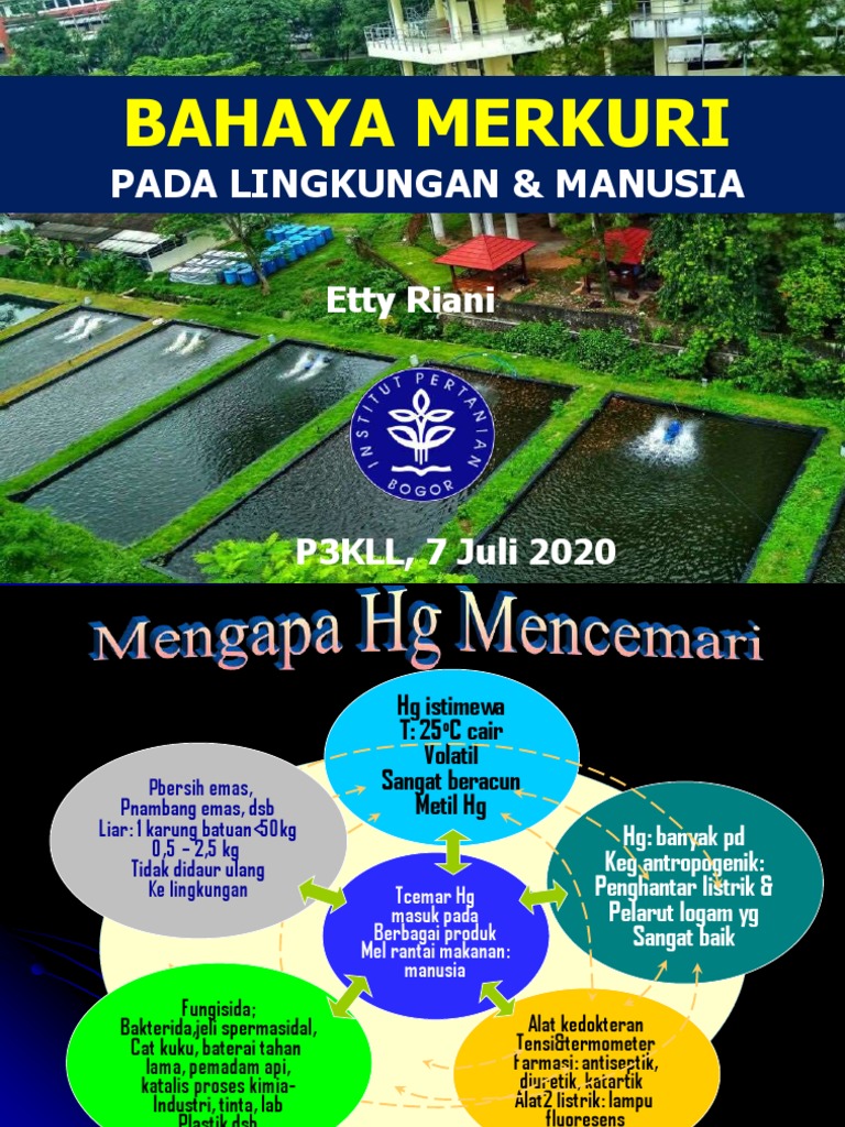 Bahaya Merkuri Bagi Lingkungan Dan Manusia | PDF