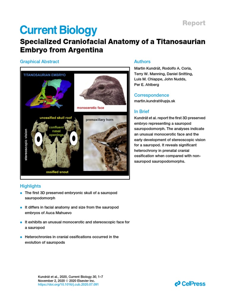 Specialized Craniofacial Anatomy of A Titanosaurian Embryo From ...