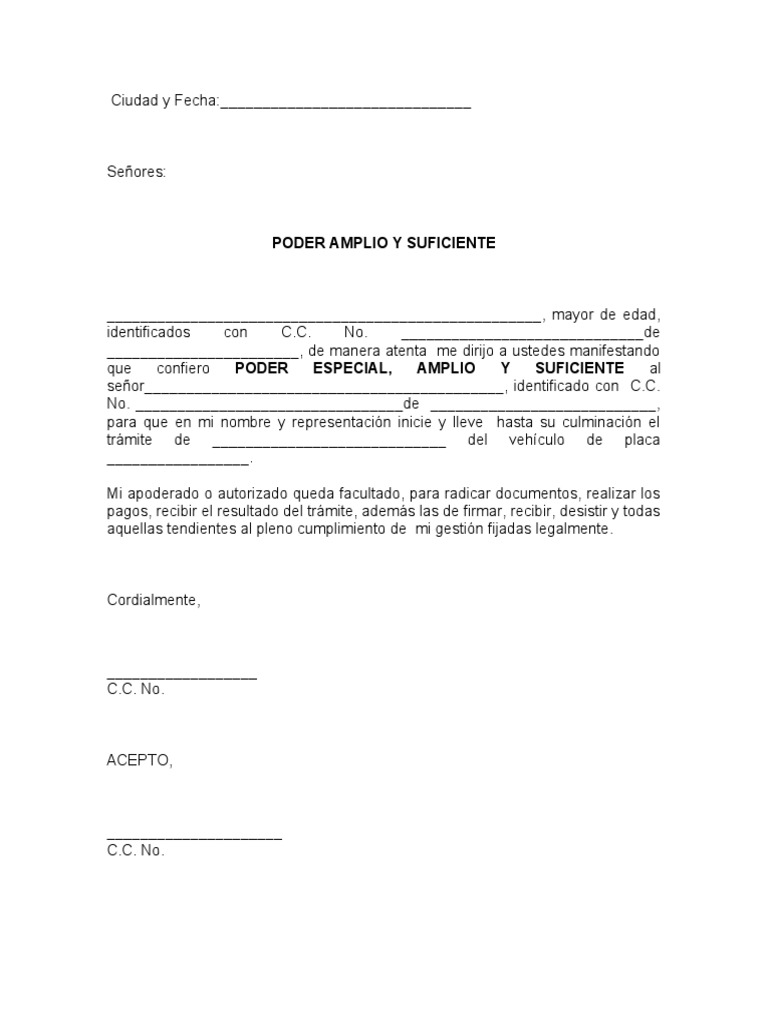 Poder Amplio y Suficiente | PDF