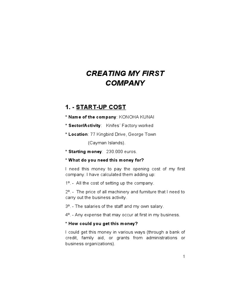 Creating My First Company by Karla Miñambres | PDF