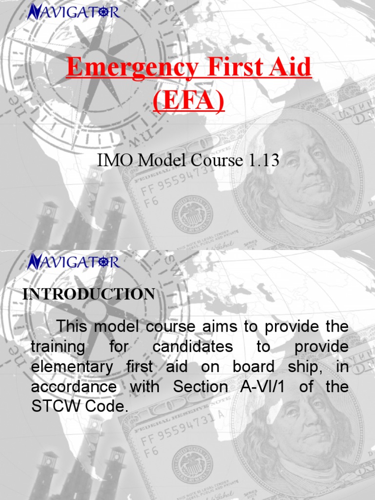 Emergency First Aid (EFA) : IMO Model Course 1.13 | PDF ...