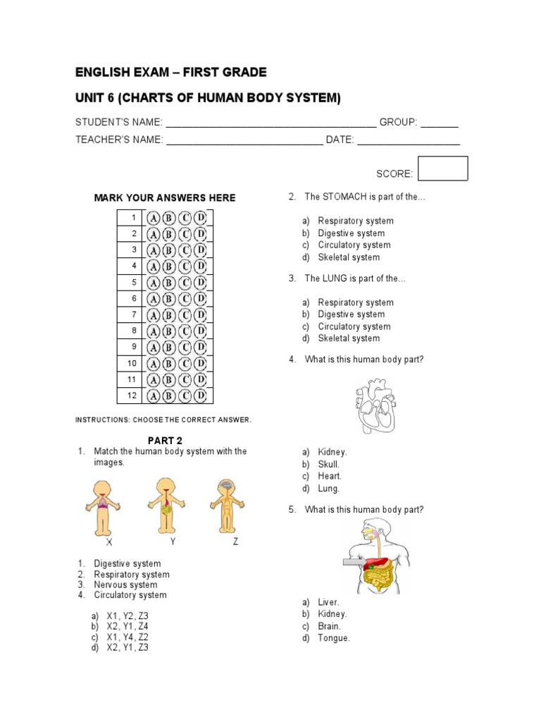 English Exam - First Grade Unit 6 (Charts of Human Body System) | PDF ...