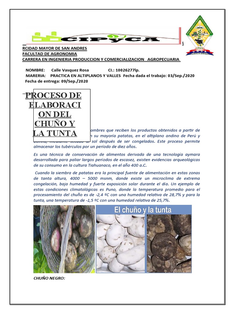 Umsa - Elaboracion de Chuño y Tunta | PDF | Comida y bebida | Alimentos