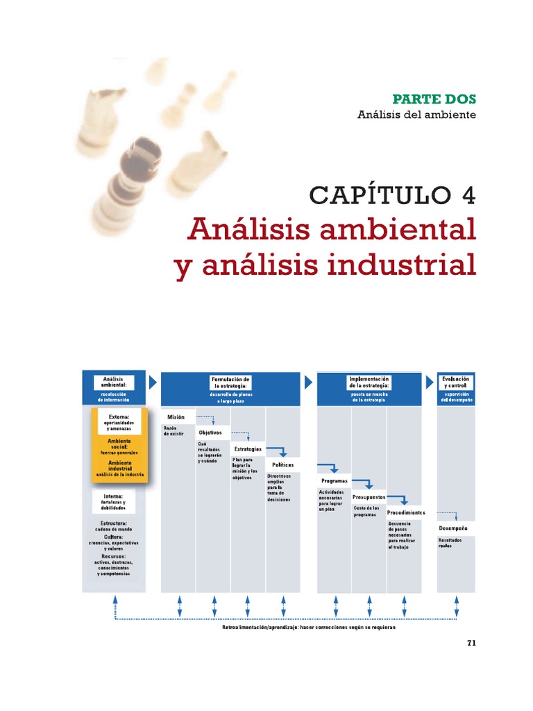 Capítulo 4 - Wheelen & Hunger | PDF